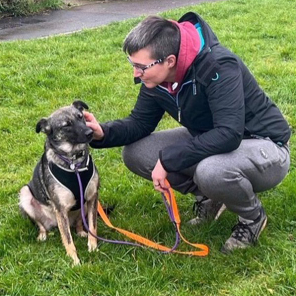 Dogs for Adoption – Leash of Life